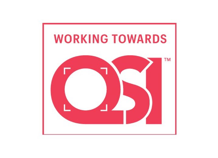 QSI Quality Mark Successes