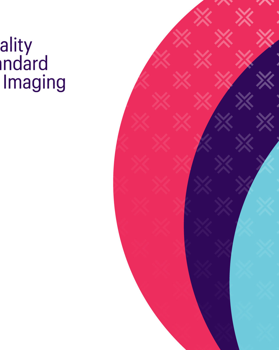 QSI Quality Mark Successes