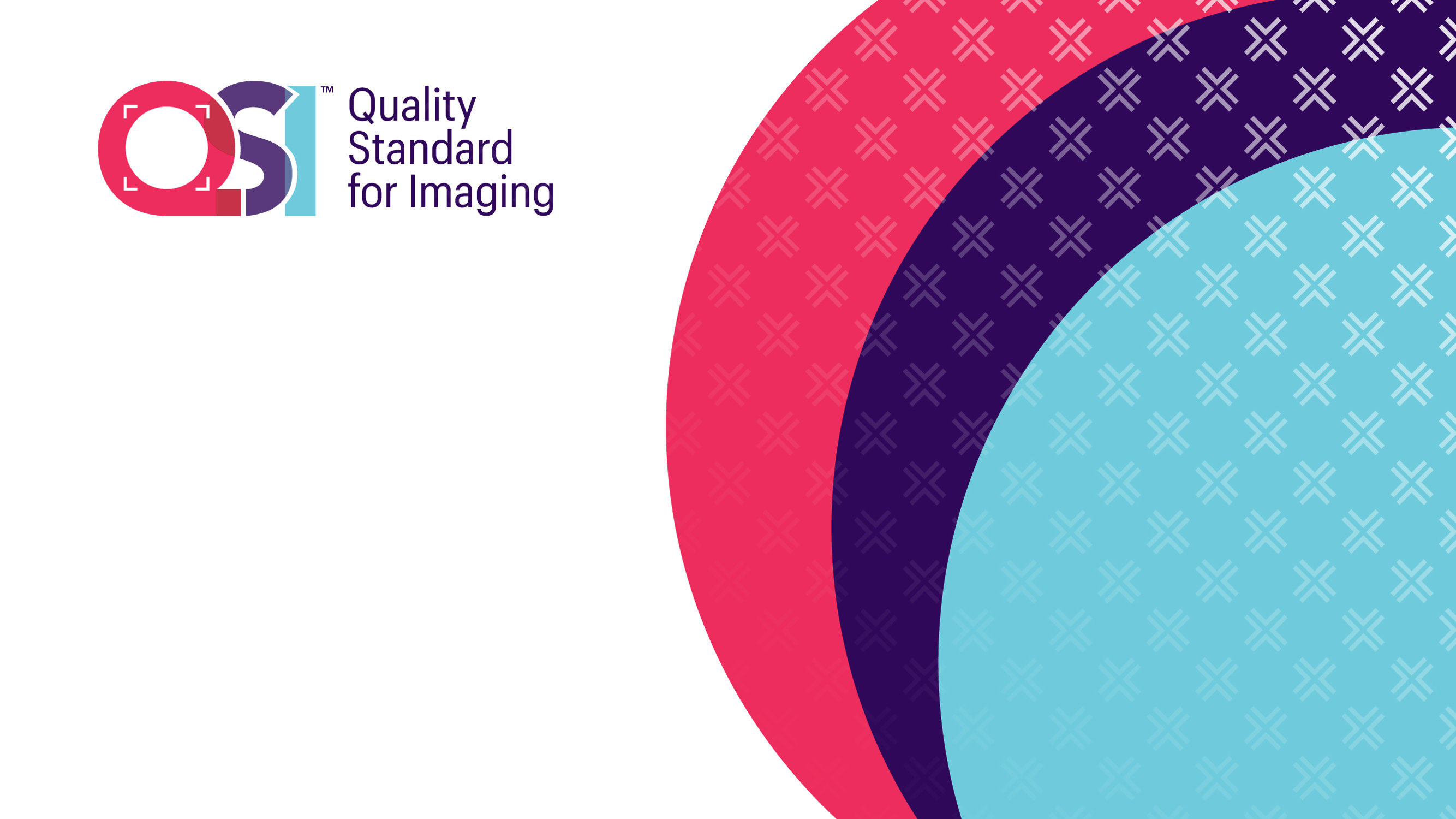 QSI Quality Mark Successes