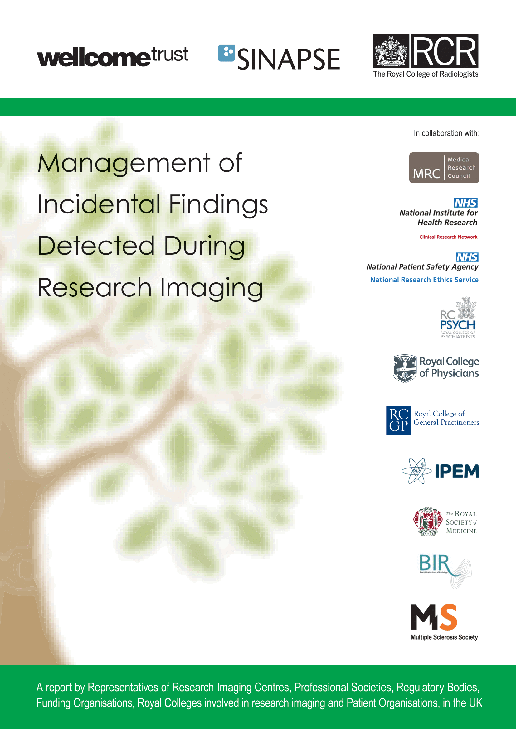 Management of Incidental Findings Detected During Research Imaging ...